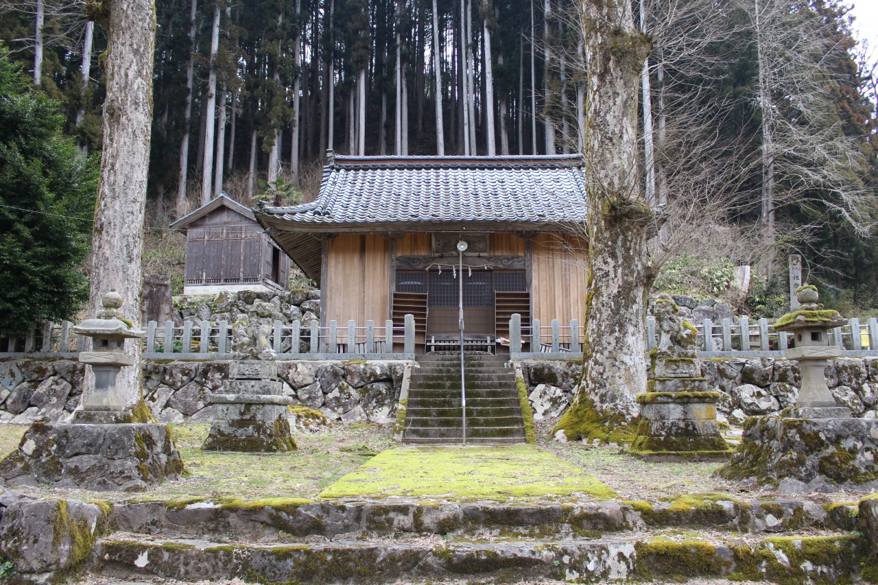 ほたるかきもち、ひめほたる 【ふくいの恵み認定商品】｜お土産｜福いろ|福井市公式観光サイト 名所/グルメ/お土産/イベント