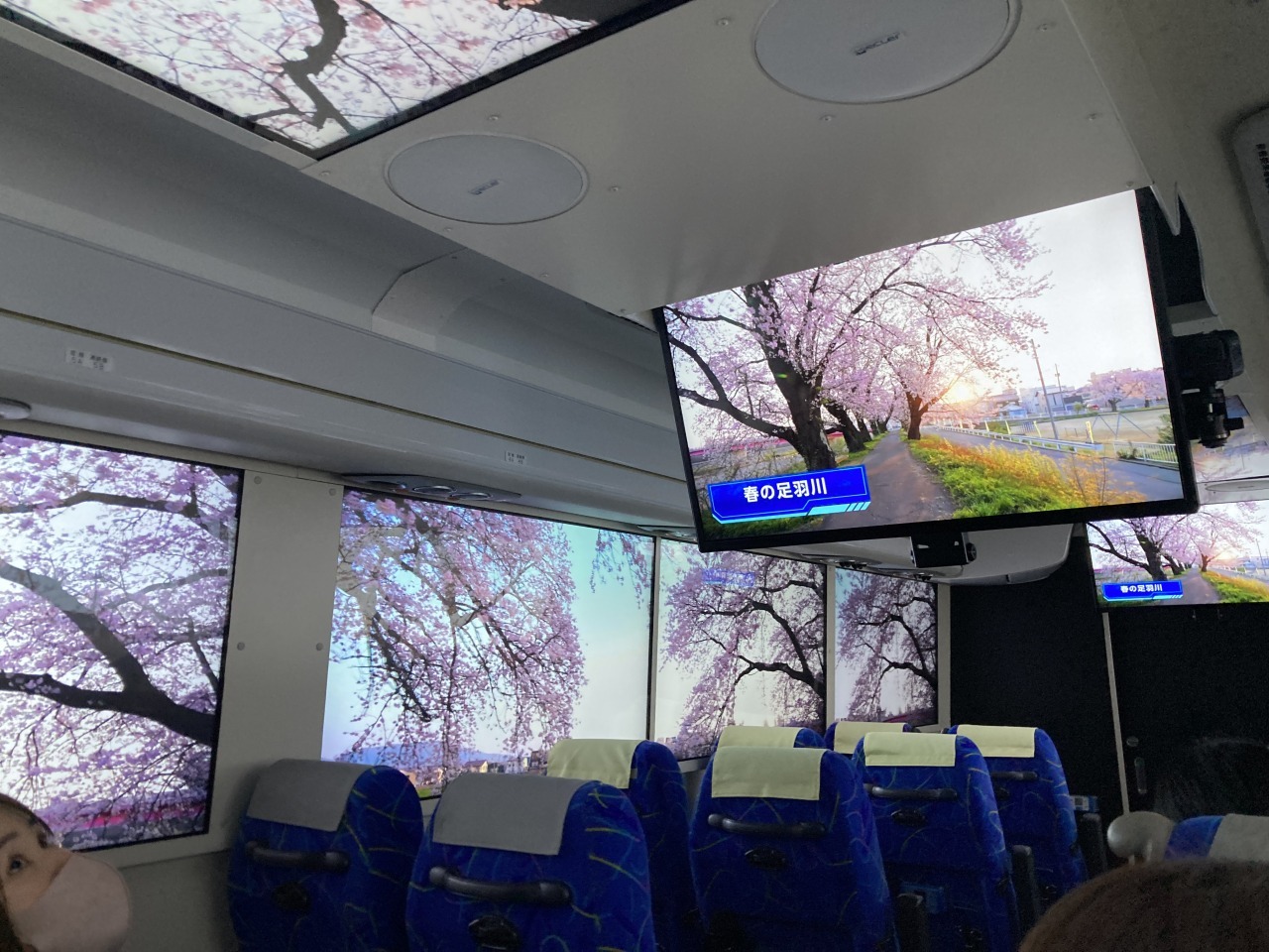 新感覚XRバス WOW RIDE いこっさ！福井号｜スポット・体験｜福いろ|福井市公式観光サイト 名所/グルメ/お土産/イベント